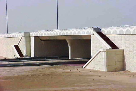 Projects Executed - copri